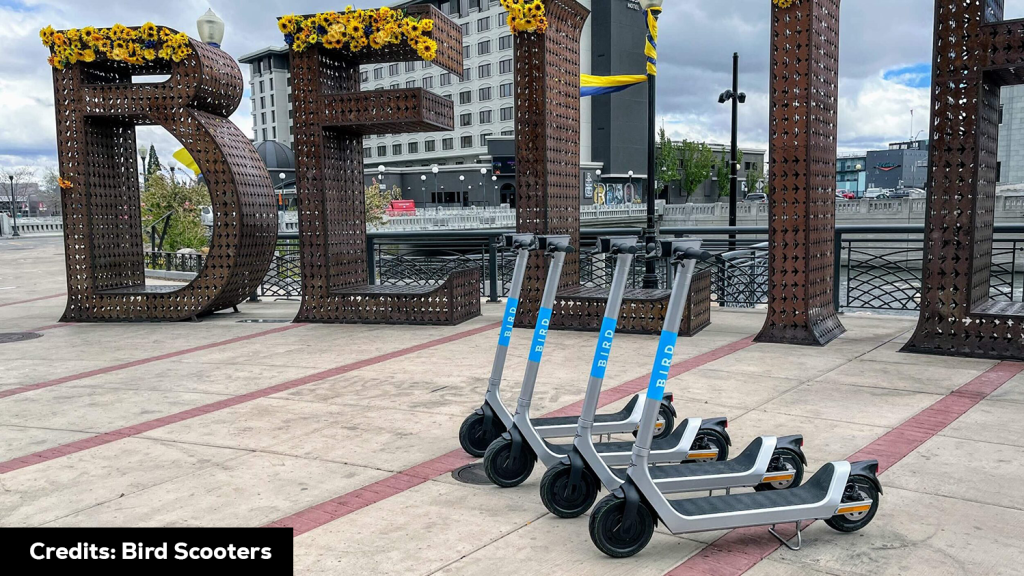 How Does Bird Scooter Work – An Overview - Scooter Advice 360